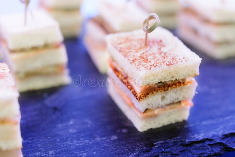 Sandwiches Canapes with Fish. Stock Image - Image of appetizer, fish ...