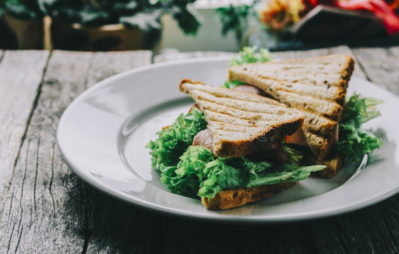 Sandwich on Plate stock photo. Image of pink, gourmet - 104661052