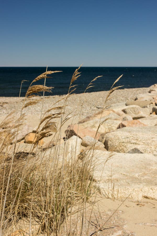 Sandwitch Boardwalk Beach at Cape Cod Massachusetts Stock Photo - Image ...