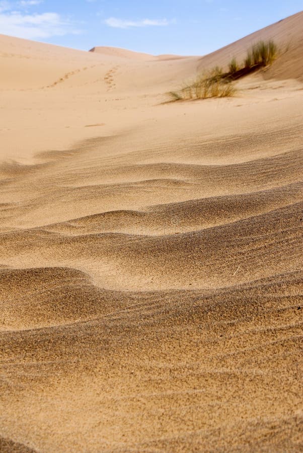 Sandy background stock photo. Image of abstract, high - 19570186