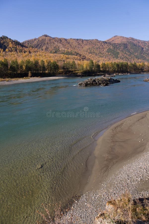 Sandy bank stock photo. Image of altai, horizontal, leaf - 11629866