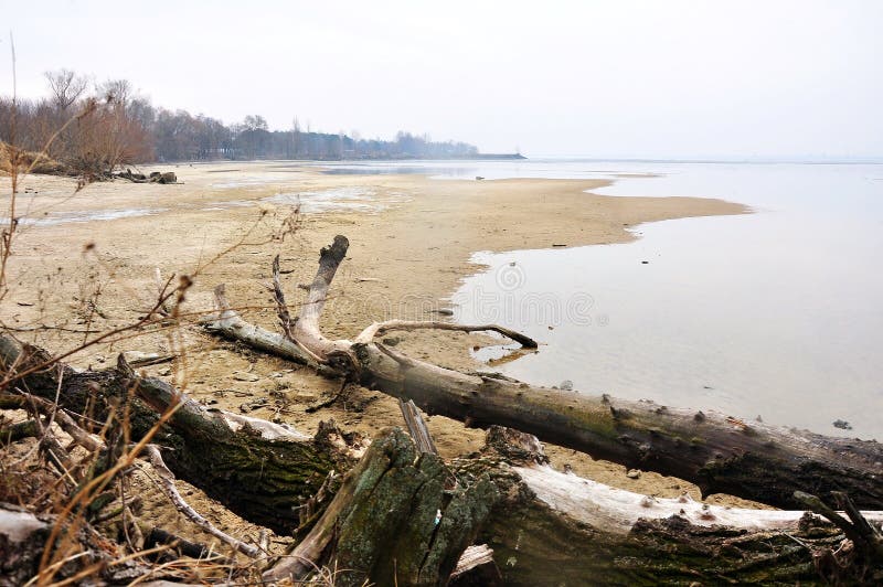 Sandy bank stock photo. Image of beautiful, park, early - 88576302