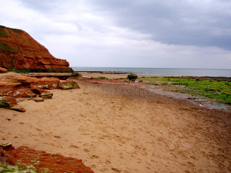 Sandy Bay - Devon fotografering för bildbyråer. Bild av skönhet - 100227403