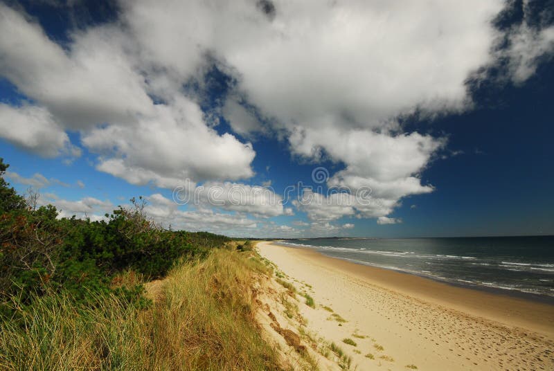 Sandy beach stock image. Image of beach, sandy, secluded - 1511609