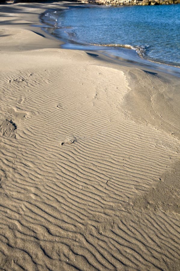 Sandy beach stock image. Image of grass, coastal, beach - 8815947
