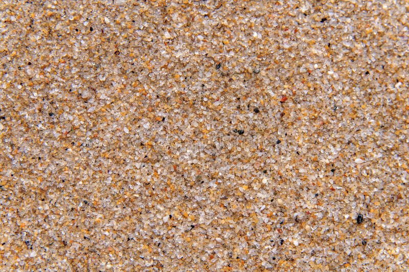 Macro sand texture stock photo. Image of beige, ocean - 10138786