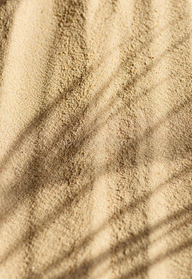 Sandy Beach Background Top View with Visible Sand Texture. Tropical ...