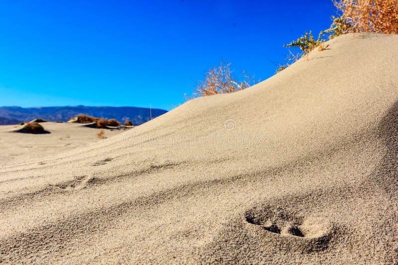 A Sandy Beach with a Blue Sky in the Background Stock Photo - Image of ...