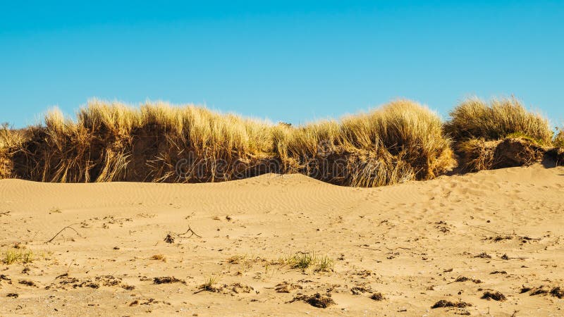 Sandy Beach and Blue Sky in Scotland Stock Photo - Image of beautiful ...