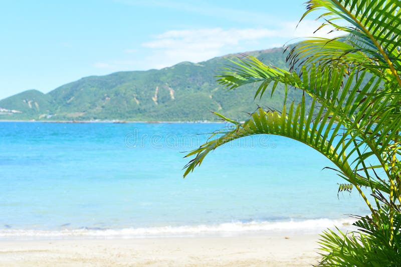 Sandy Beach with Blue Water in Vietnam Stock Image - Image of beach ...