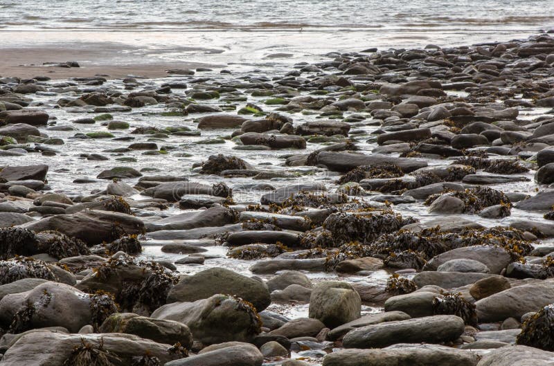 Rocky and Sandy Beach in Devon, England Stock Image - Image of rocks ...