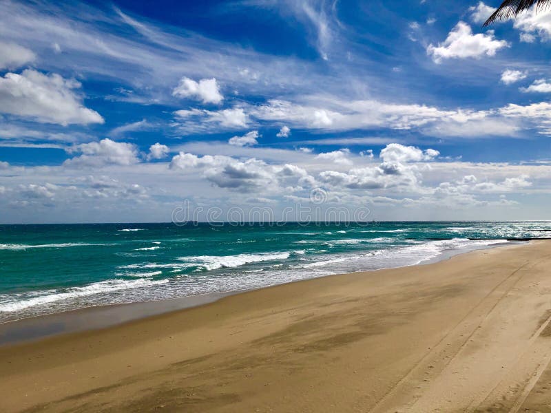 Sandy beach in Florida stock image. Image of sand, gold - 108873991