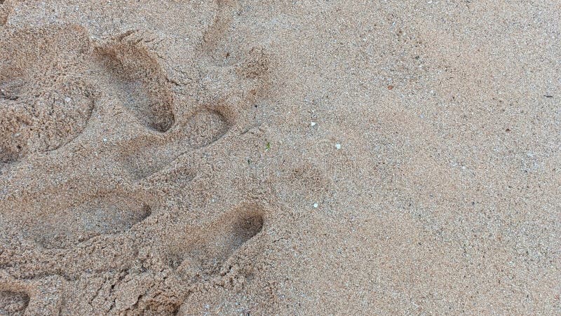 A Sandy Beach with a Footprint in the Sand Stock Image - Image of rough, pattern: 330592567