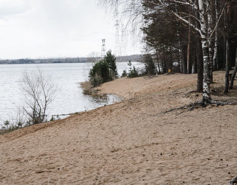 Sandy Beach in the Forest Sky Stock Photo - Image of green, russia ...