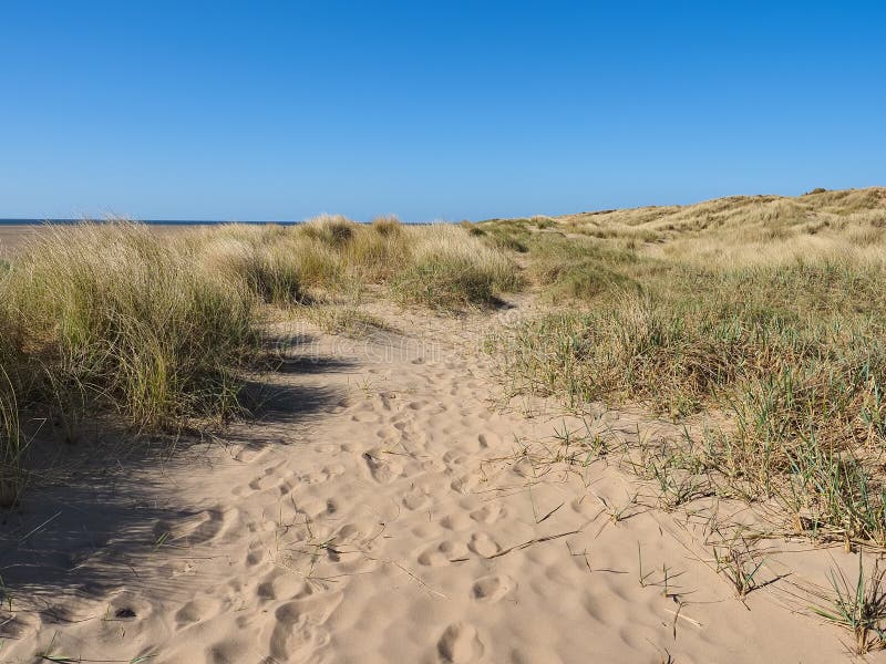 A Sandy Beach with a Grassy Dune Area in the Foreground Stock Image ...