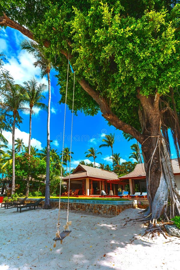 Sandy beach, house, tree stock image. Image of beach - 78263607