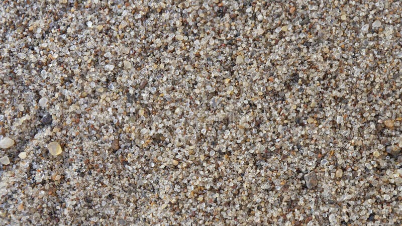 Sandy Beach at an Increase. Stock Photo - Image of usual, pebbles ...