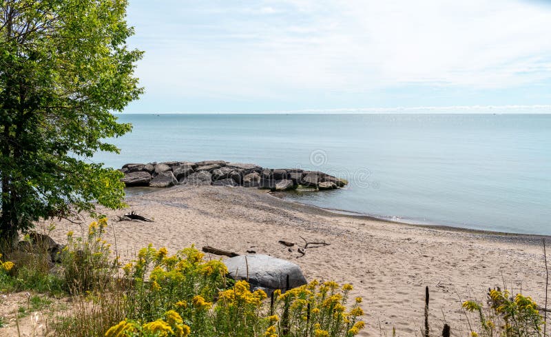 Sandy Beach at Lake Ontario, Trees and Plants Stock Image - Image of ...