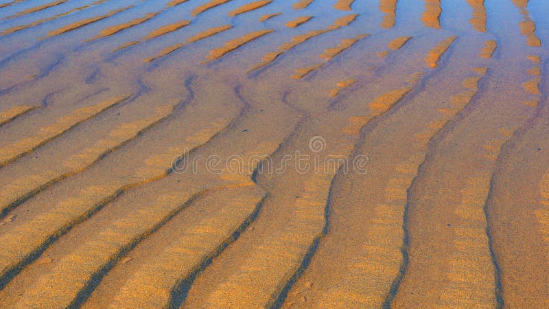 Sandy Ripple Texture on a Sunny Beach Stock Photo - Image of sand ...