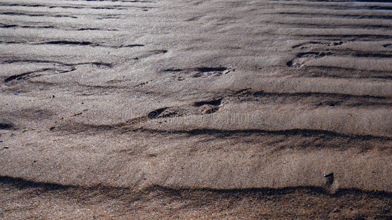 Sandy Ripple Texture on a Sunny Beach Stock Photo - Image of dune ...