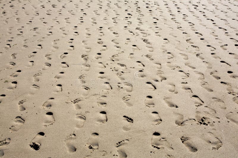 Sandy Beach - Multiple Footprints in Rows Receding Stock Image - Image ...
