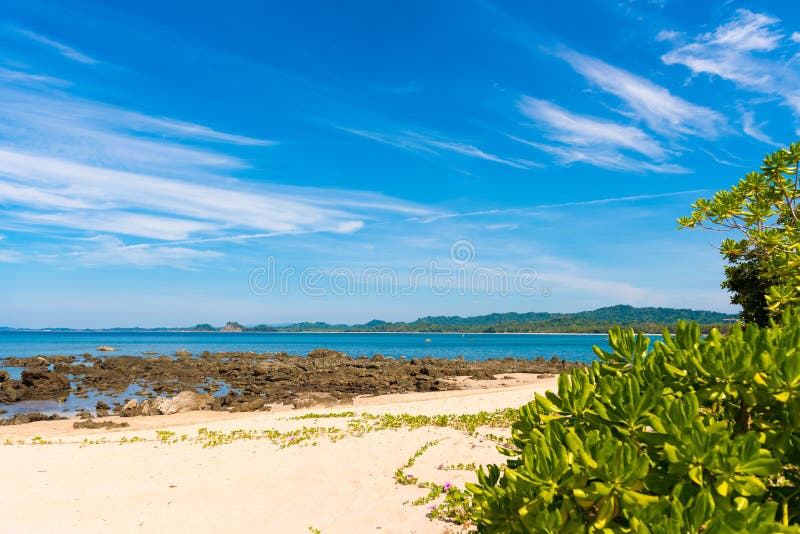 Sandy Beach of Ngapali, Myanmar. Copy Space for Text. Stock Photo ...