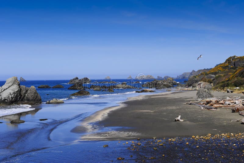 Sandy Beach on the North Coast Stock Photo - Image of ocean, coastline ...