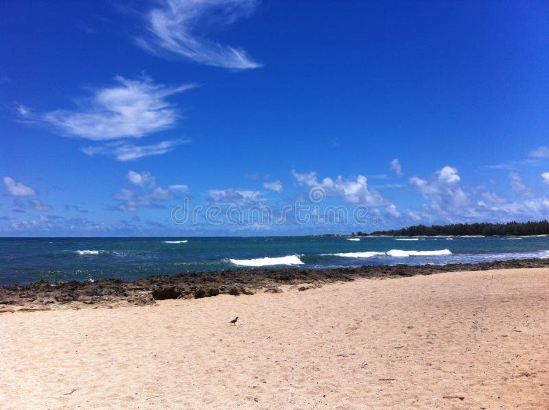 Sandy Beach On The Pacific Ocean With Waves Rolling In Stock Image Image Of Koolau Creating