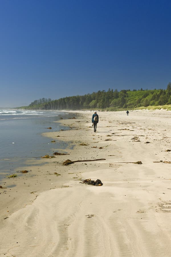 Sandy Beach in Pacific Rim National Park in Canada Stock Photo - Image ...