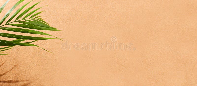Sandy Beach, Palm Leaf. Natural Sandy Background, Banner Stock Image ...