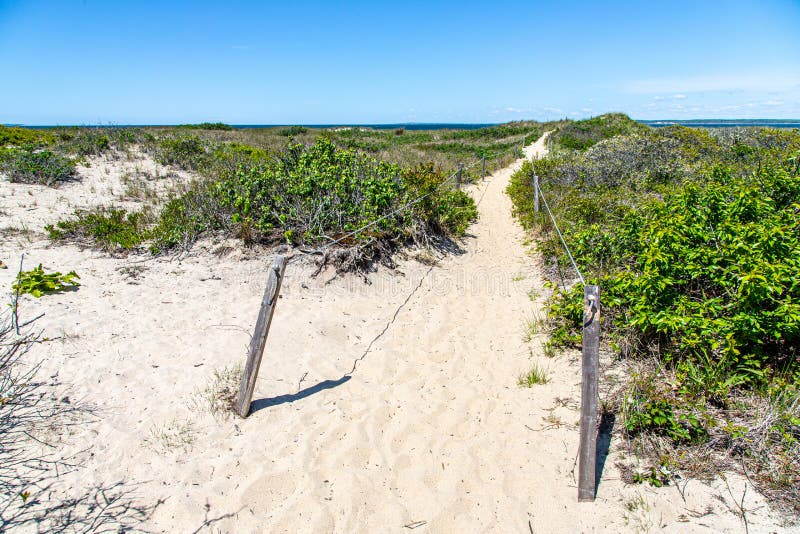 Sandy Beach Path To the Ocean Stock Photo - Image of horizon, sand ...