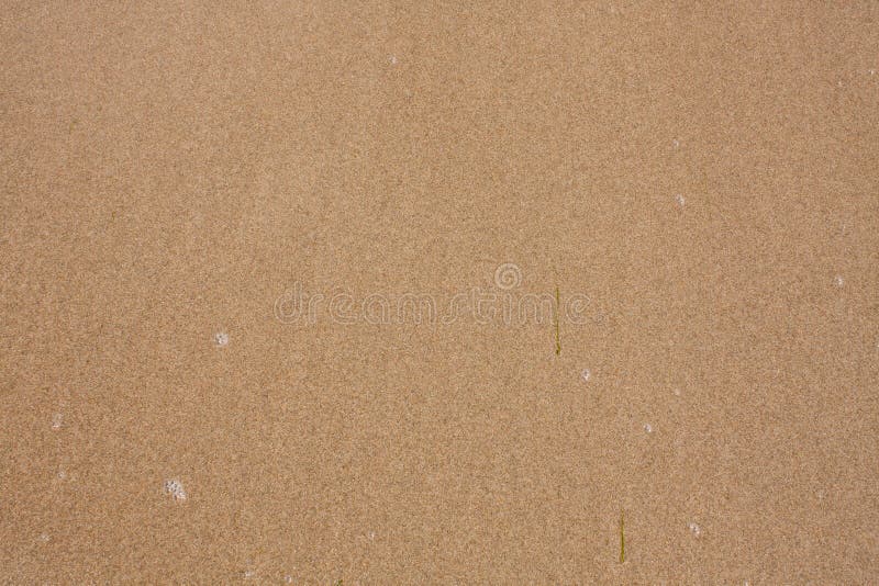 Sandy Beach Pattern Closeup, Summer Seacoast Background. Stock Image ...