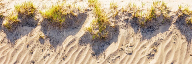 Sandy Beach Patterns with Grass and Shadows Creating Natural Texture ...