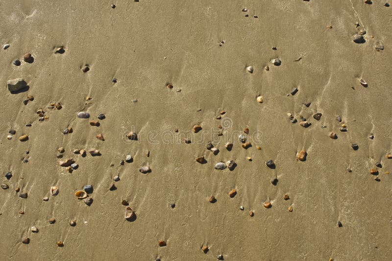 Sandy beach with pebbles stock photo. Image of texture - 260653420