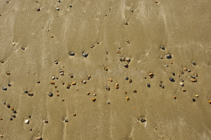 Sandy beach with pebbles stock image. Image of rock - 260653445