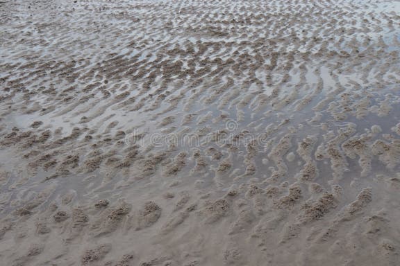 Sandy Beach with Ripple Marks at Low Tide Stock Photo - Image of ...