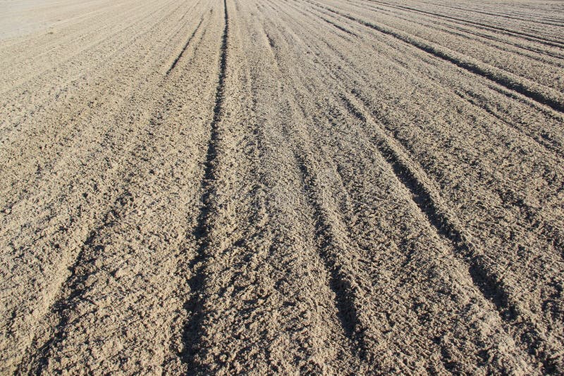 Sandy Beach stock photo. Image of beach, arts, natural - 185207550