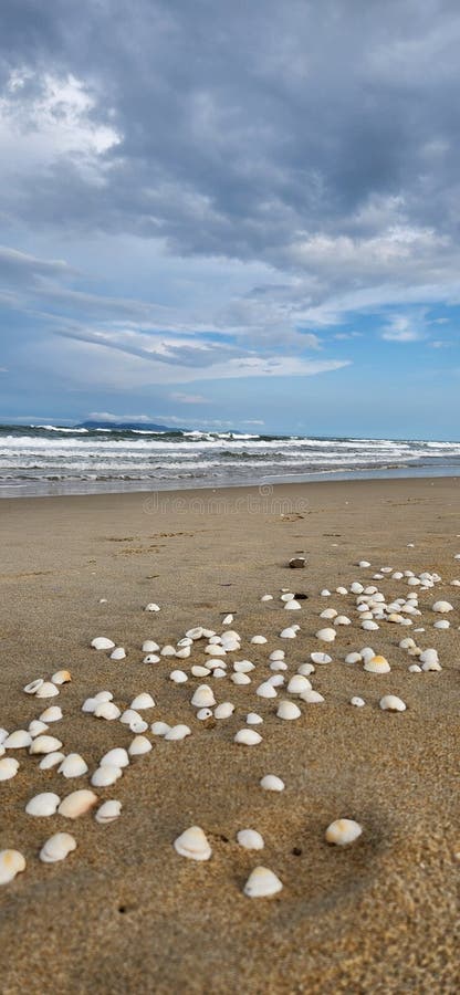Sandy Beach with Sea Shells and Sea Waves. Scenic View on the Cloudy ...