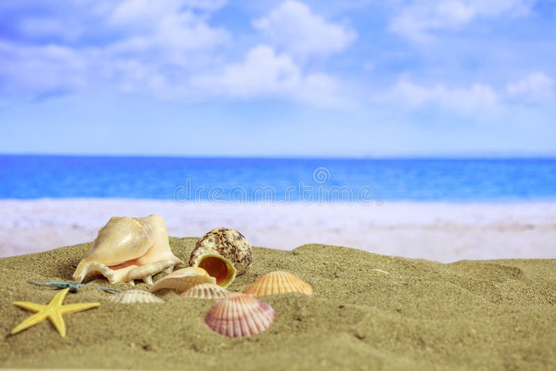Sandy Beach - Summer Vacations Concept Stock Photo - Image of island ...