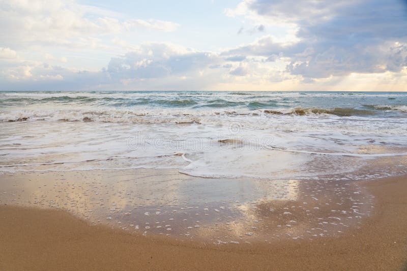 Sandy Beach on a Sunset with Reflection on Wet Sand and Waves with Foam ...