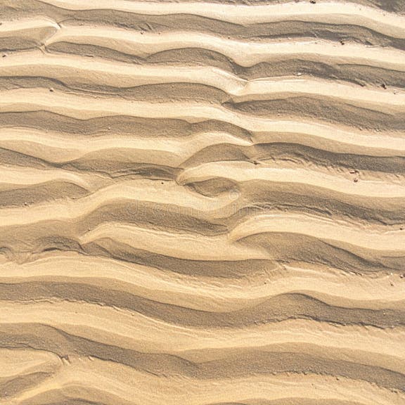 Sandy Beach Texture Background with Wave Patterns in Natural Light ...