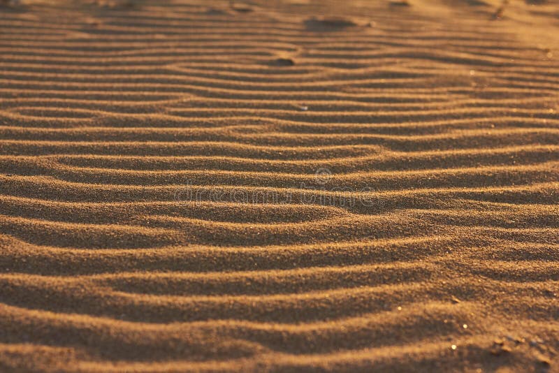 Sandy beach texture stock image. Image of pattern, backdrop - 130030959
