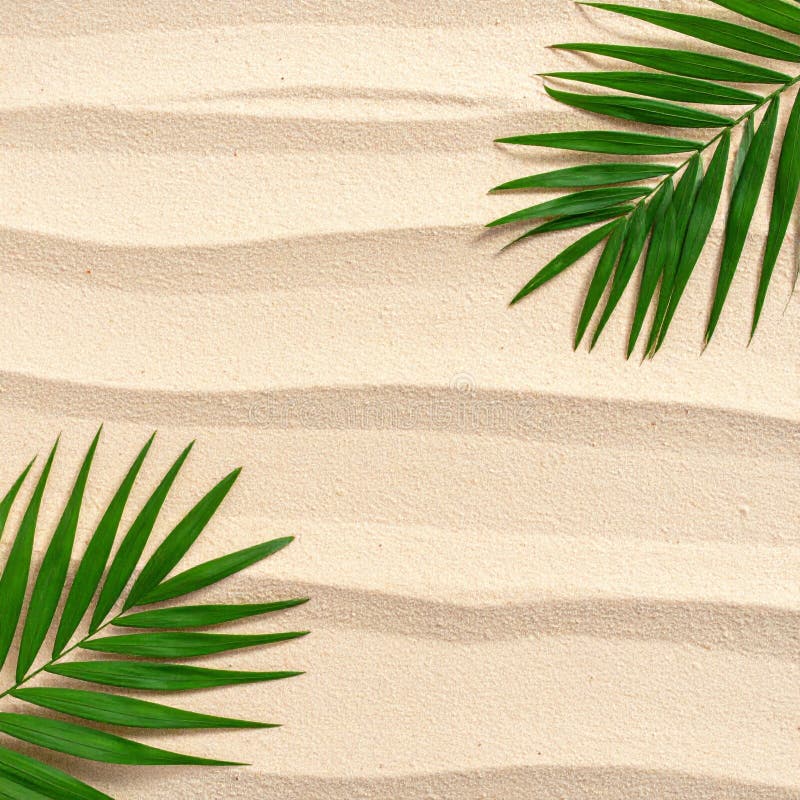 Sandy Beach Texture with Green Palm Leaves Corner Frame in Sunlight ...