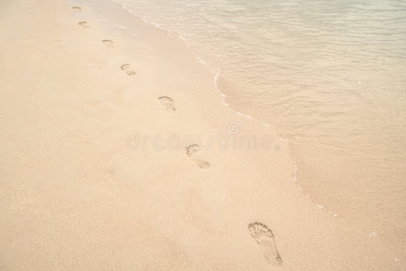 Steps on the sand stock image. Image of natural, footprints - 190385133