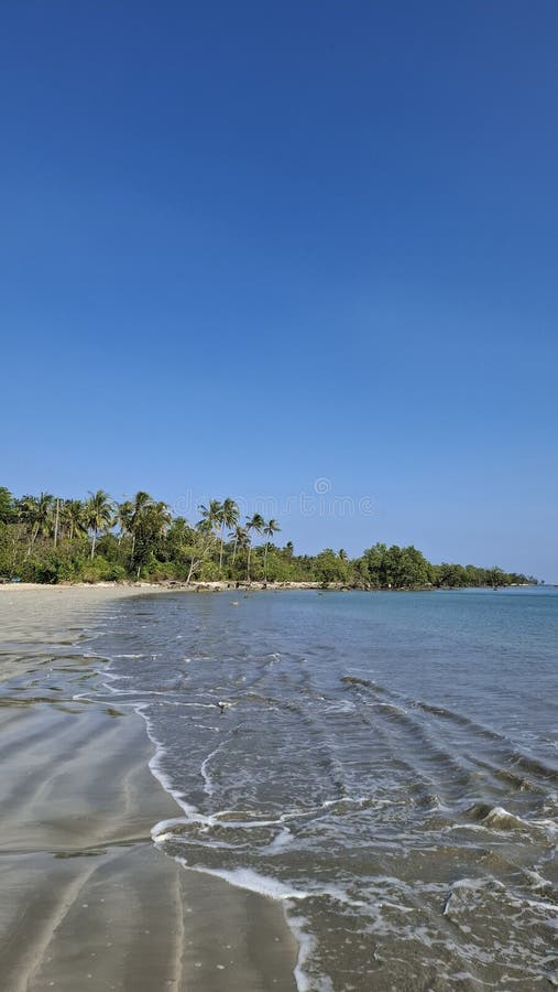Sandy Beach with Trees and Blue Sky Stock Image - Image of beach, blue ...