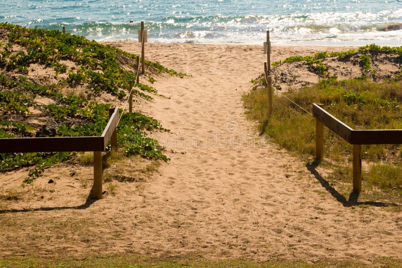 Sandy Beach Walkway stock photo. Image of ocean, north - 71026412