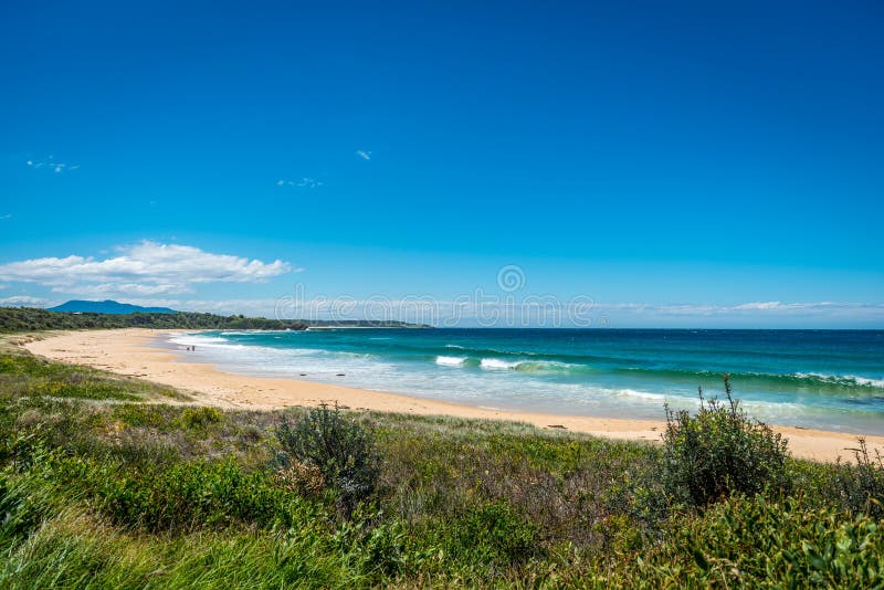 Sandy beach stock image. Image of national, sandy, ocean - 64449555