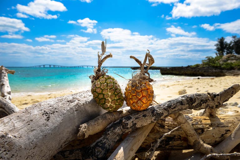 Sandy Beaches and Tropical Image Stock Image - Image of asia, japan ...