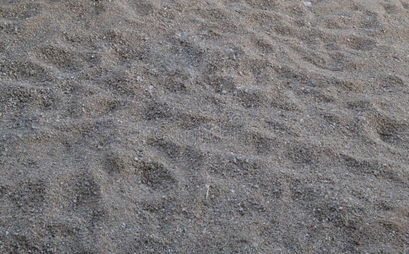 Sandy-Boden stockbild. Bild von sand, geologie, betrieb - 70933627