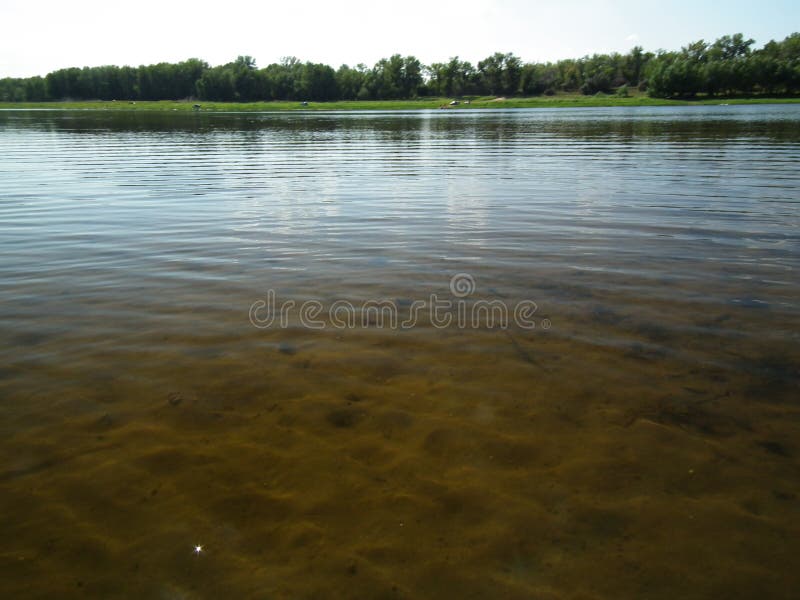 Shallow river stock image. Image of bottom, summer, cloud - 109624393
